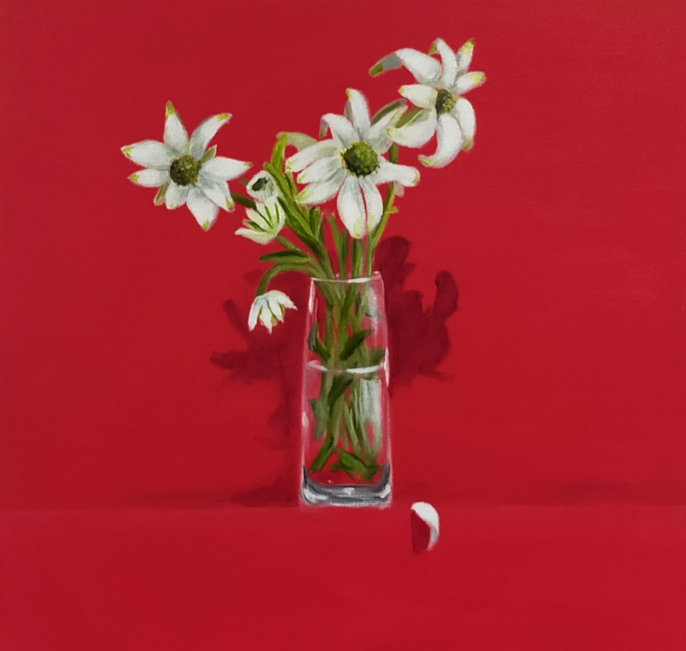 Flannel in red - Art Lovers Australia