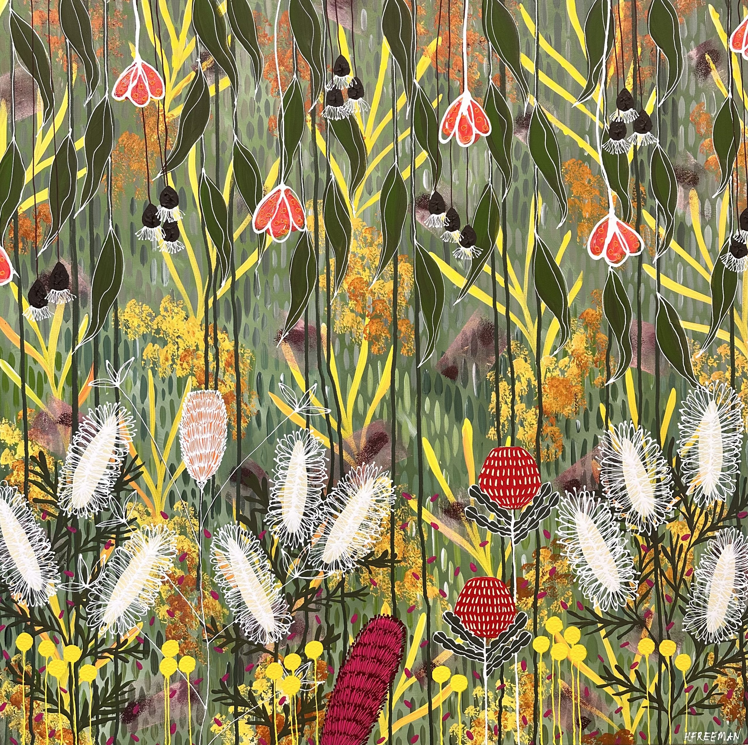 Grevillea Banksii - Art Lovers Australia