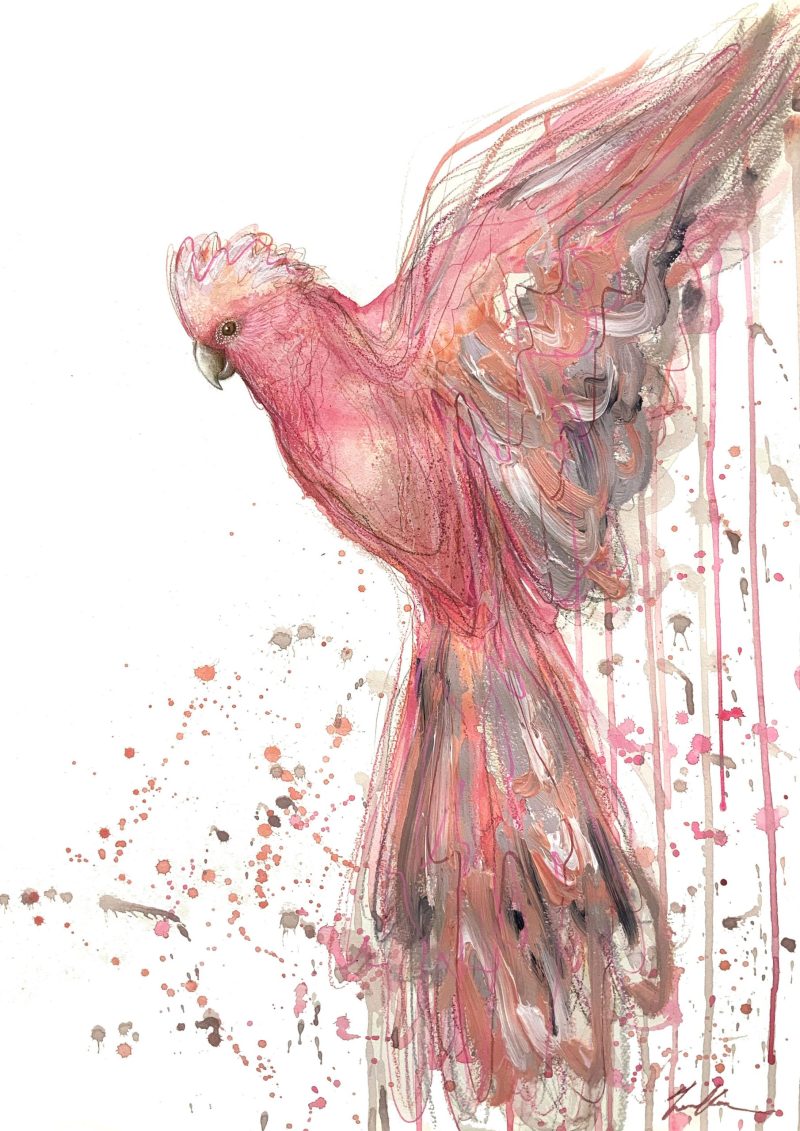 Call of the Black Cockatoo - Bird Painting - Original - Art Lovers ...