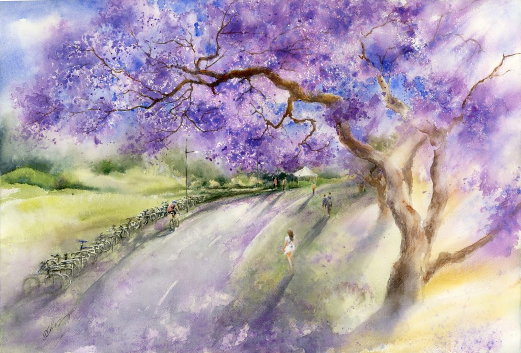 Jacarandas in UQ Campus - Art Lovers Australia