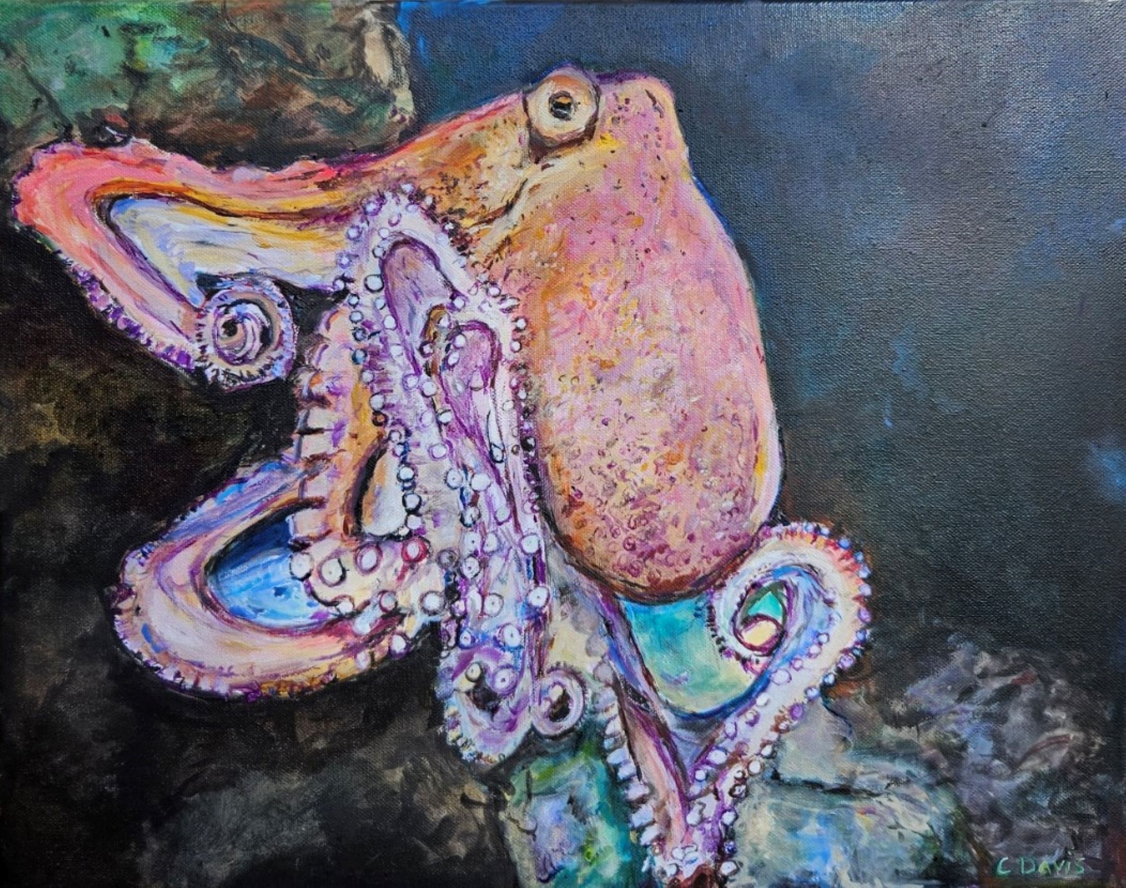 Octopus - Art Lovers Australia