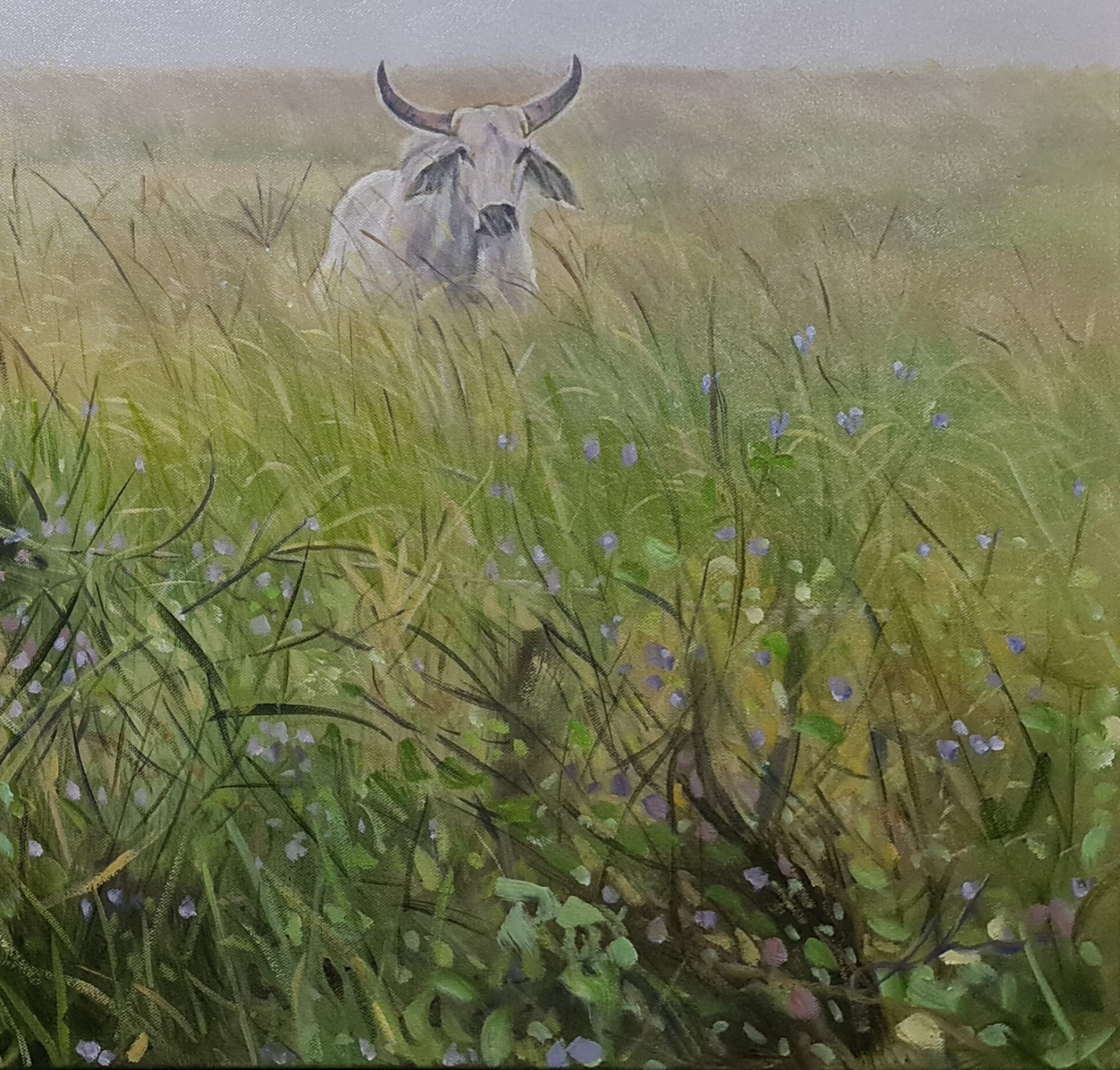 Brahman's In The Deepwater Mist - Art Lovers Australia