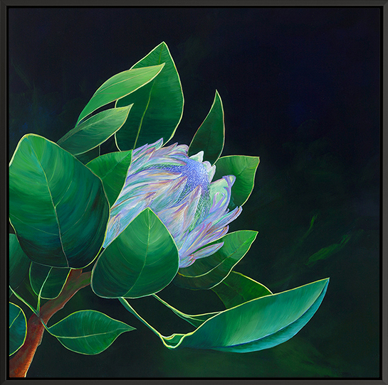 Beloved Protea - Art Lovers Australia