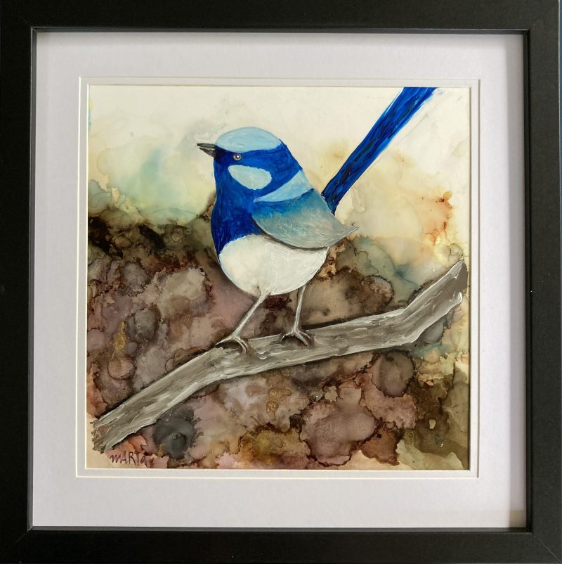 Blue Fairy Wrens - Art Lovers Australia