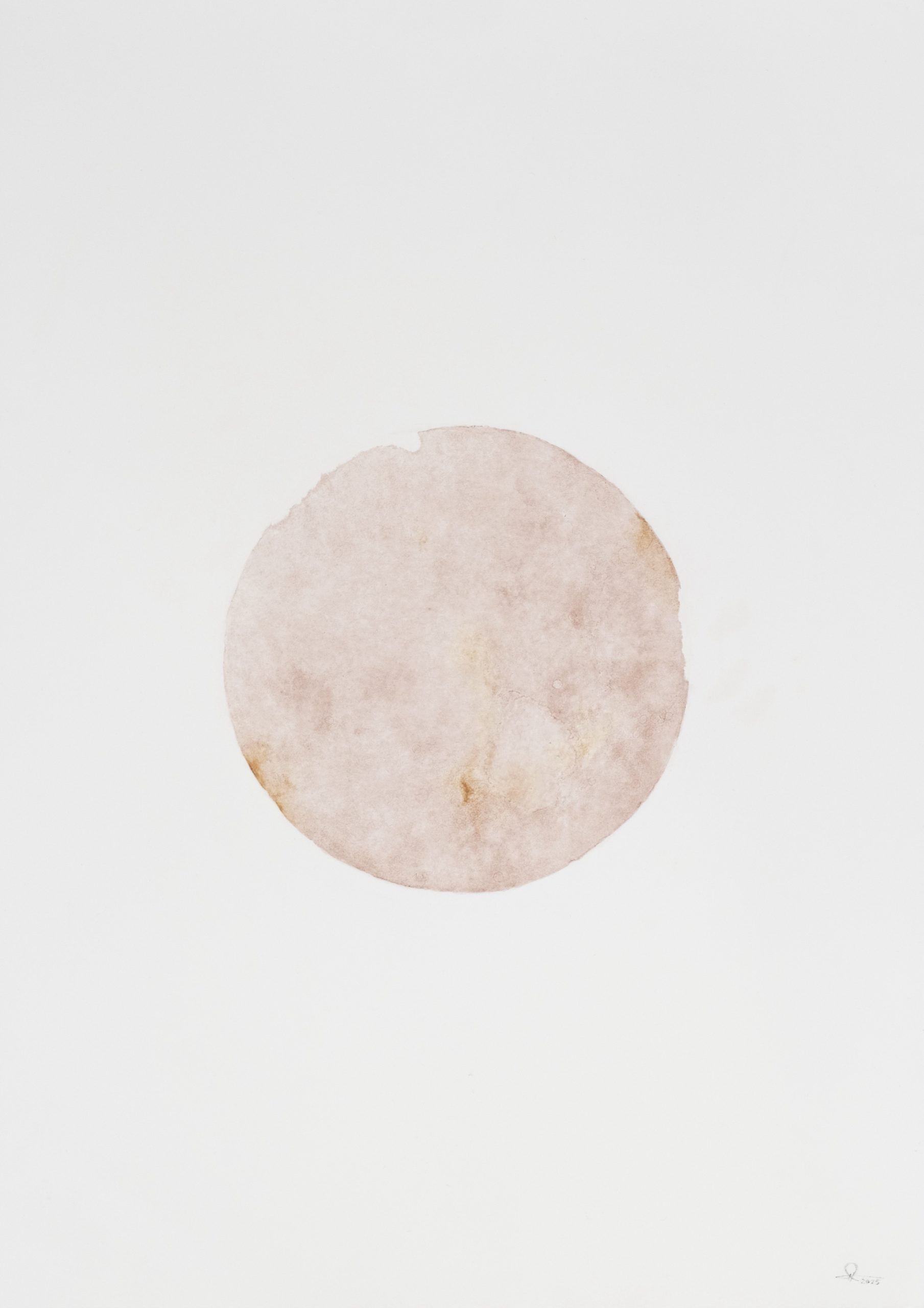 Pink Studies - Art Lovers Australia