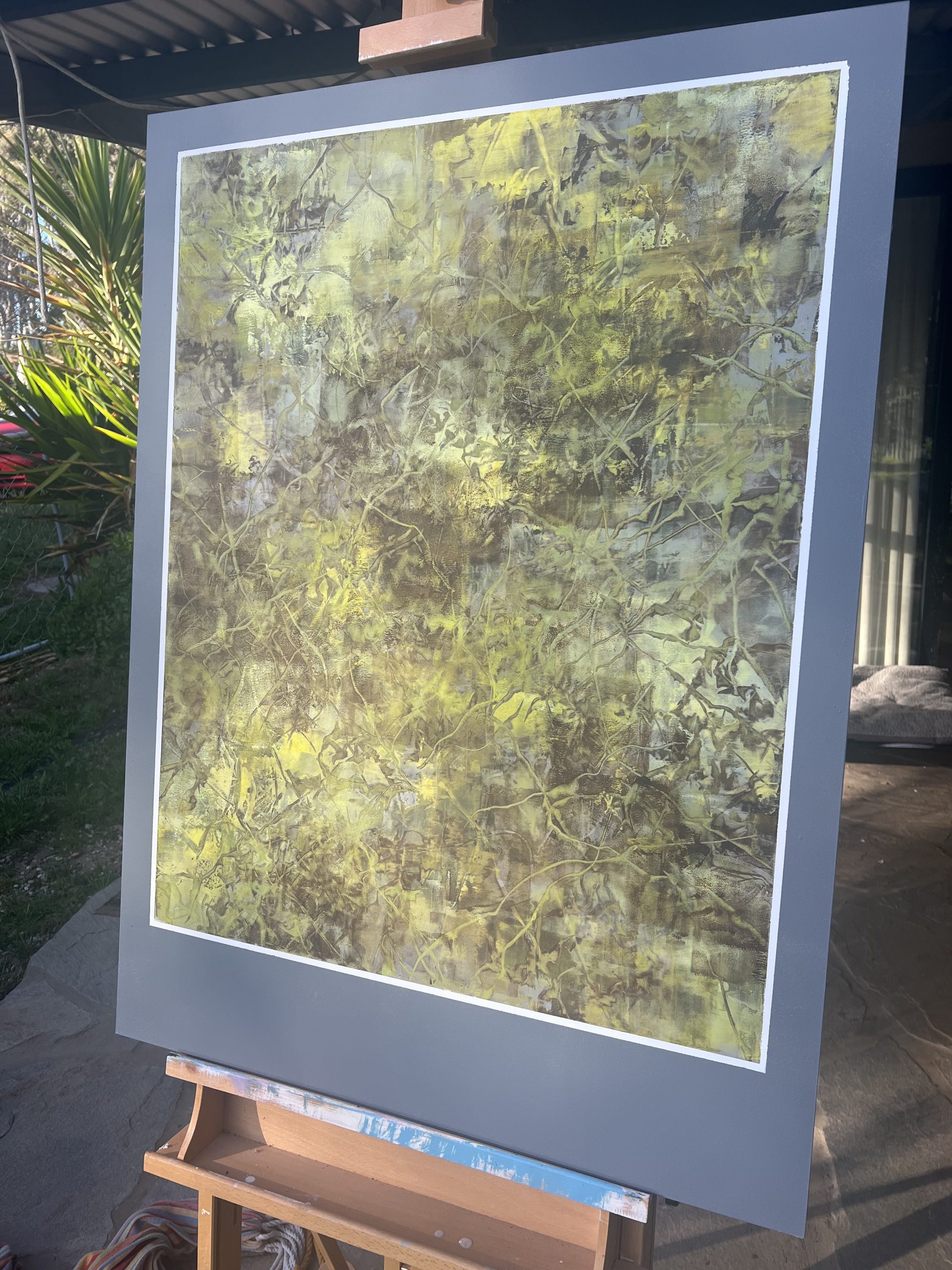 The Gossamer Wattle - Art Lovers Australia