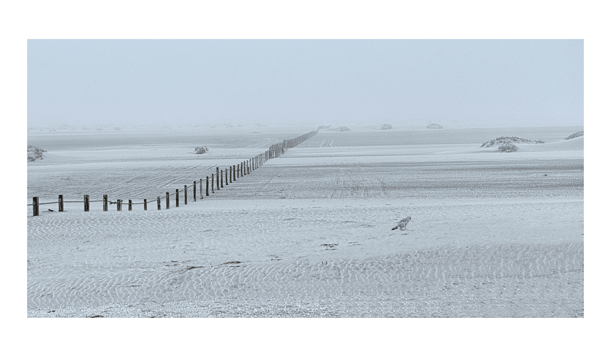 The Vanishing Line: Sandwich Harbour Salt Pans - Art Lovers Australia
