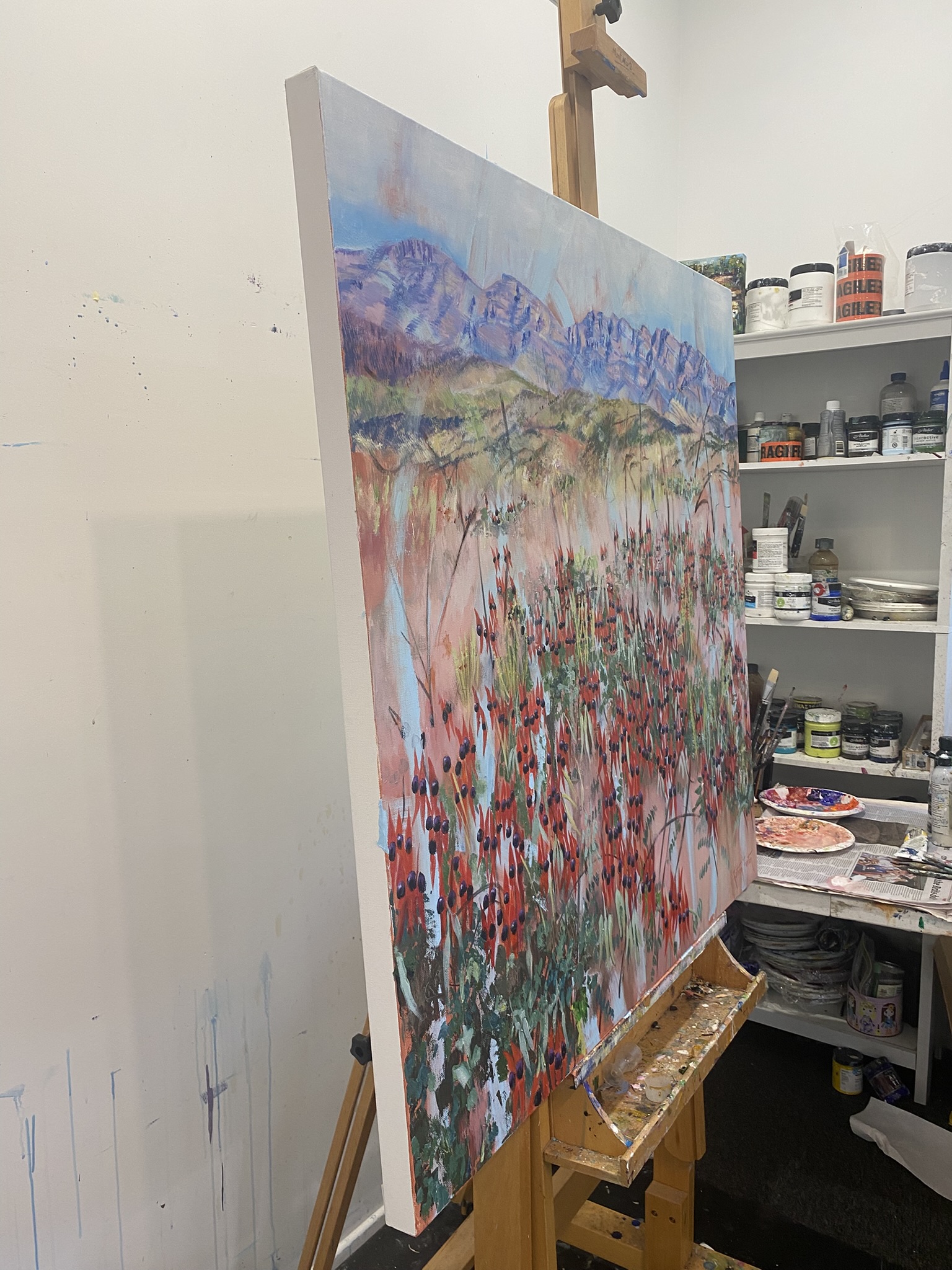 Desert Peas, Flinders - Art Lovers Australia