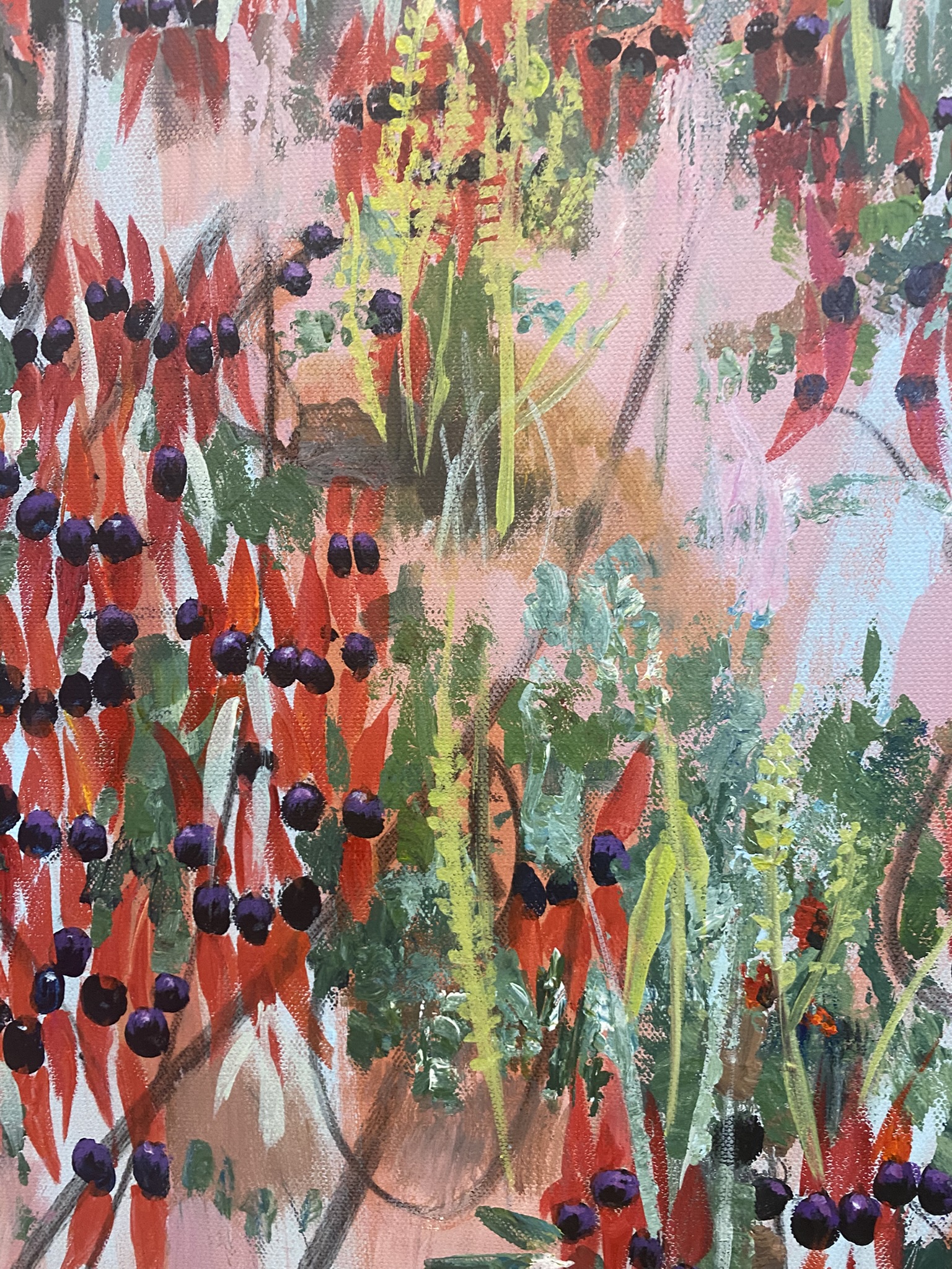 Desert Peas, Flinders - Art Lovers Australia